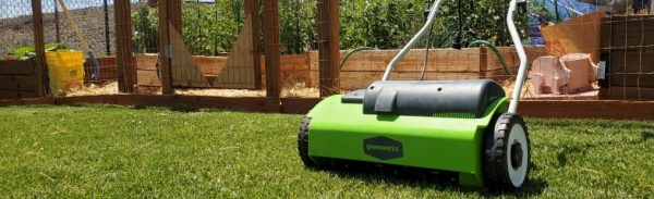 The 6 Best Electric Dethatchers & Scarifiers For Lawns w/ Comparisons ...