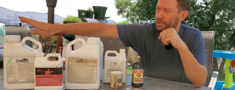 How To Make A Homemade Liquid Dethatcher For Your Lawn » Turf Mechanic