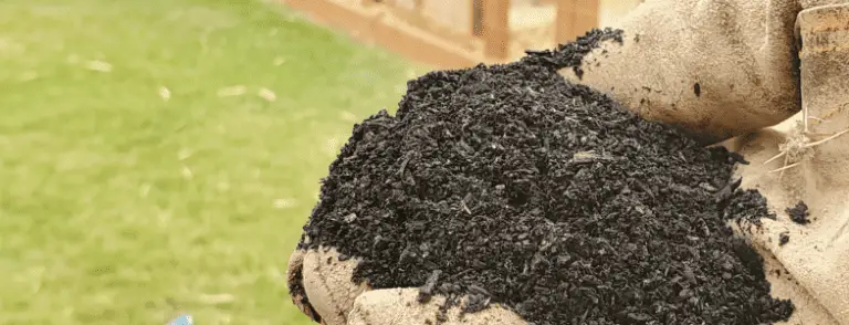 Best BioChar For Lawns (& For The Garden) » Turf Mechanic