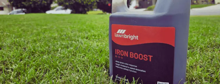 The 5 Best Liquid Iron Products For Lawns + I've Used Them All » Turf ...